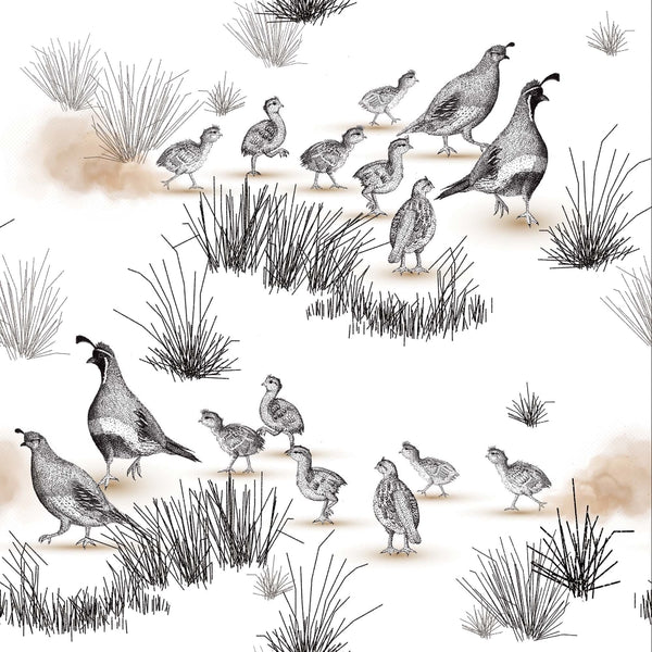 Gambeler's Quail | Animal Wallpaper Pattern - Desert Poppy Paper Co.